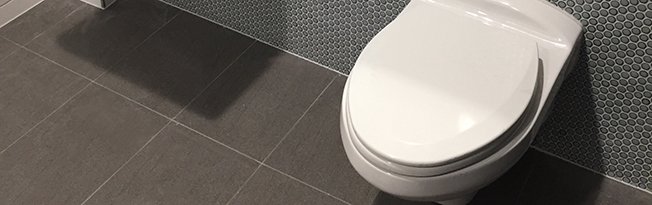 Vacuum Toilets for Sewerage Systems